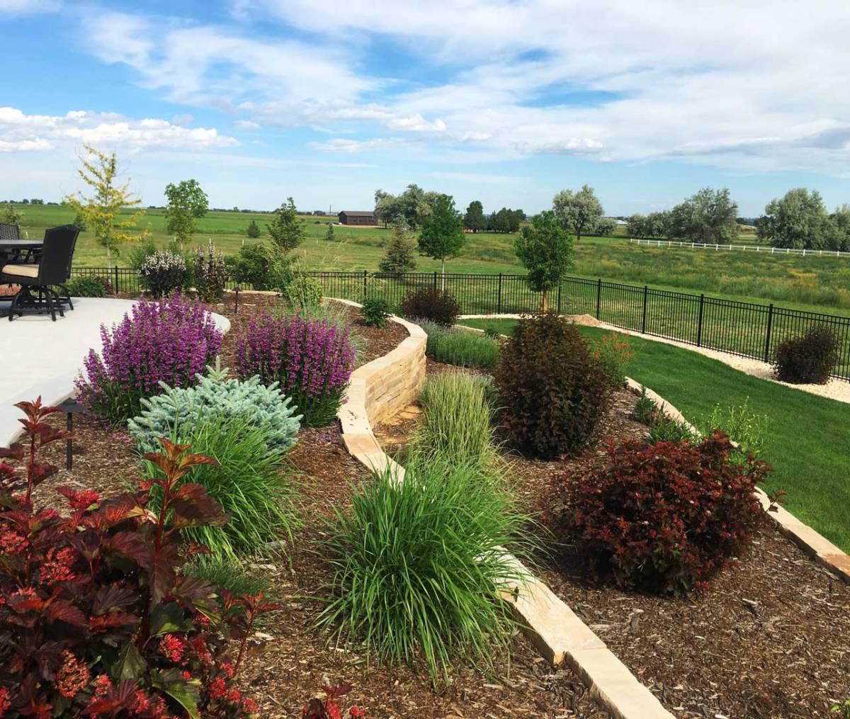 December 2023 Plant of the Month for Mead Colorado area landscapes ...